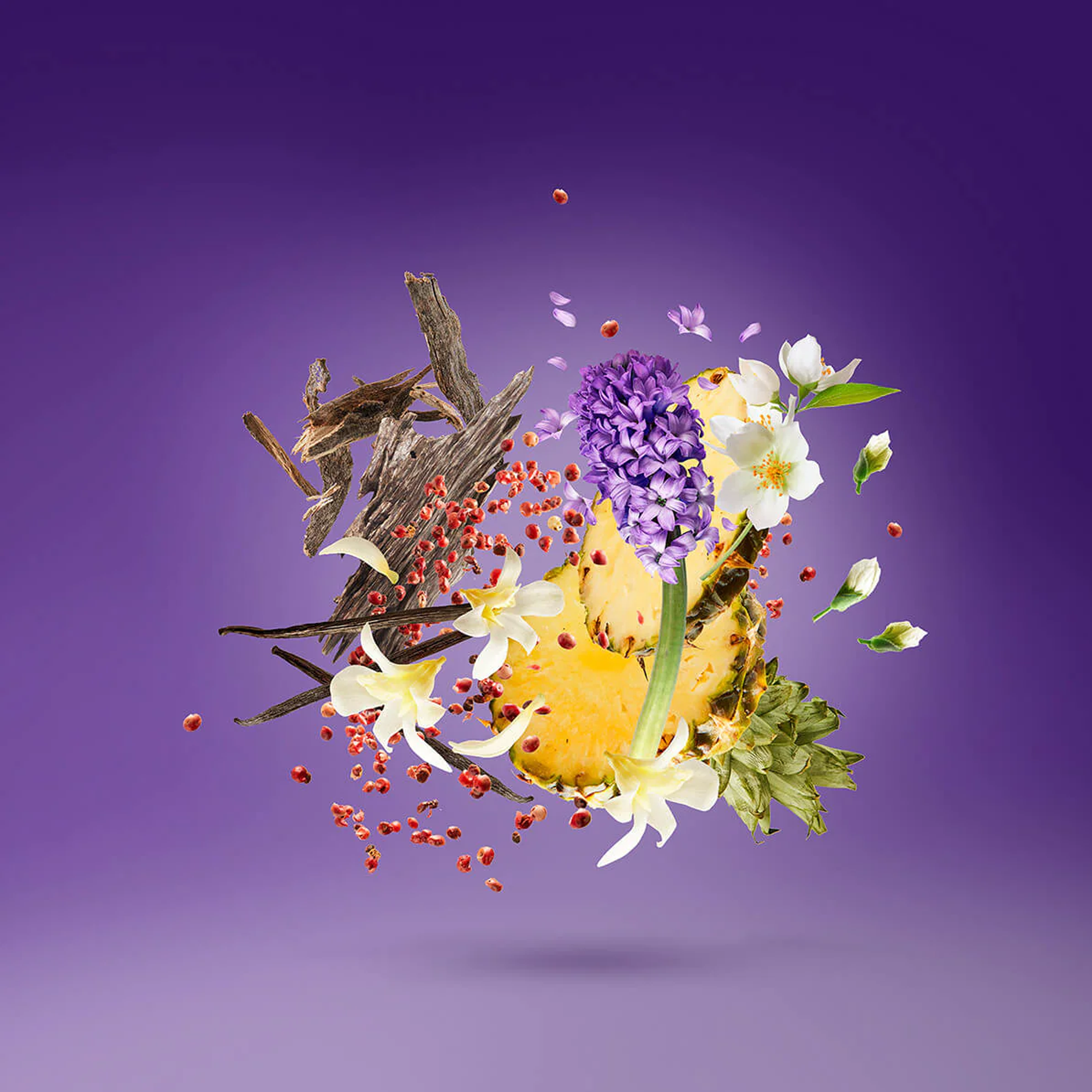 Purple Accento, Xerjoff – The Parfums