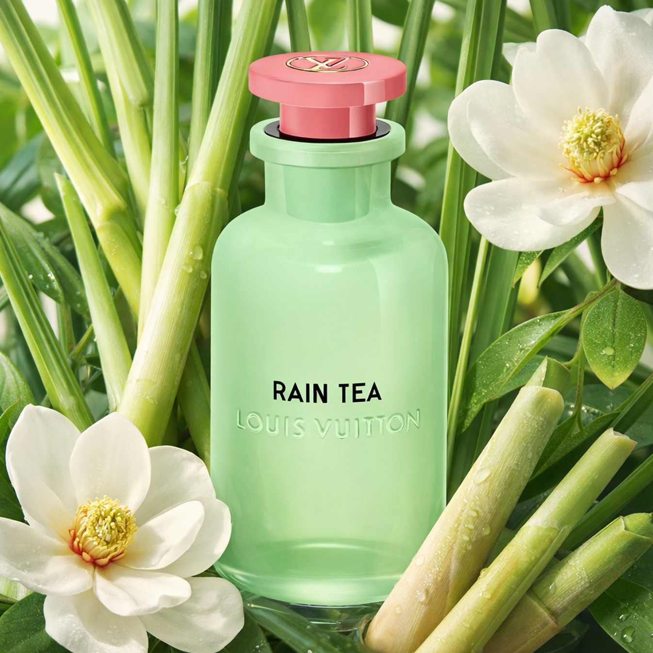 Rain Tea, Louis Vuitton – The Parfums