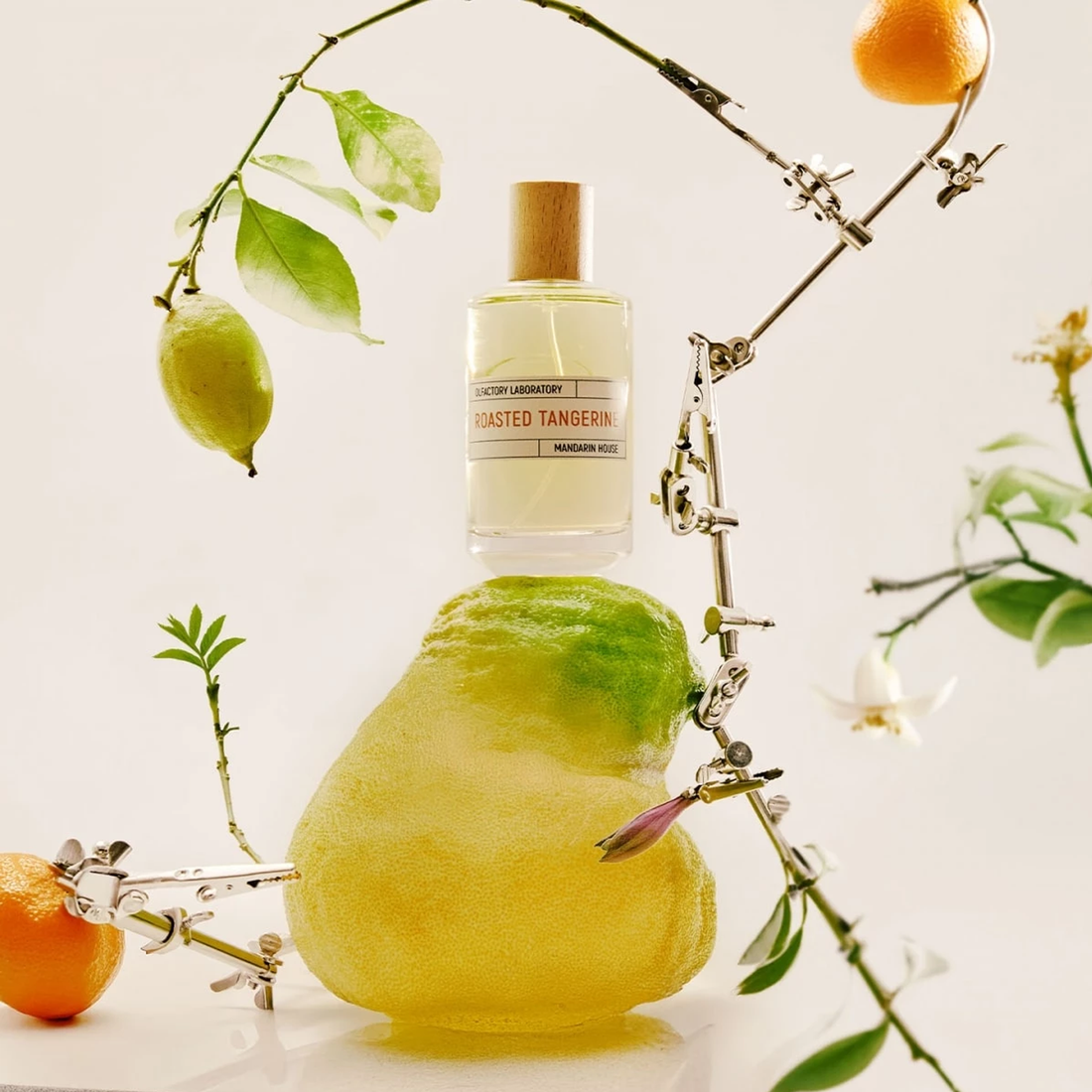 Roasted Tangerine, Liquides Imaginaires – The Parfums